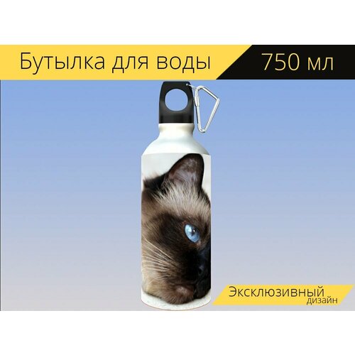 Бутылка фляга для воды "Кот, бирманский, кошачий" 750 мл. с карабином и принтом