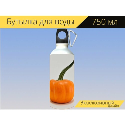 Бутылка фляга для воды "Тыква, апельсин, сезон" 750 мл. с карабином и принтом