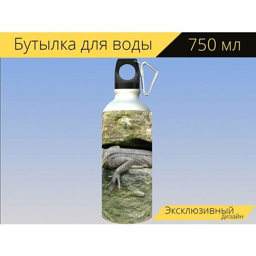 Бутылка фляга для воды "Ящерица, снялся агама ящерица, агама stellio" 750 мл. с карабином и принтом
