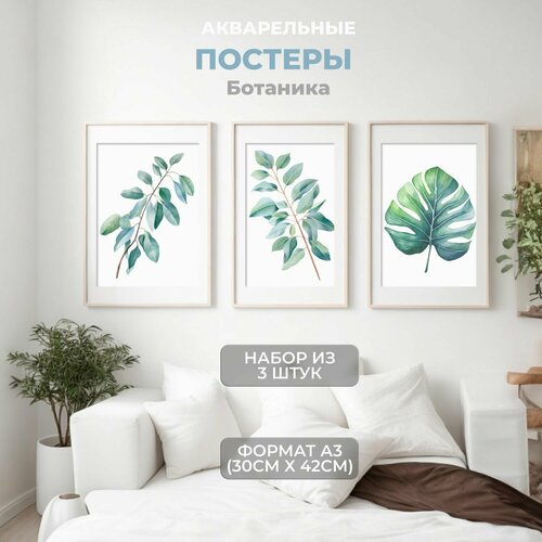 Набор интерьерных постеров "Ботаника" (комплект из 3 штук) 30х42 см без рамок