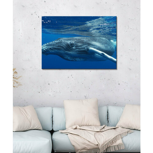 Картина - кит, синий кит, кит в океане, огромный кит, кит в воде (27) 60х80