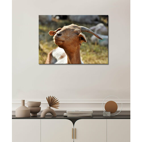 Картина - Коза, козел, коричневый козел, коричневая коза (12) 40х60