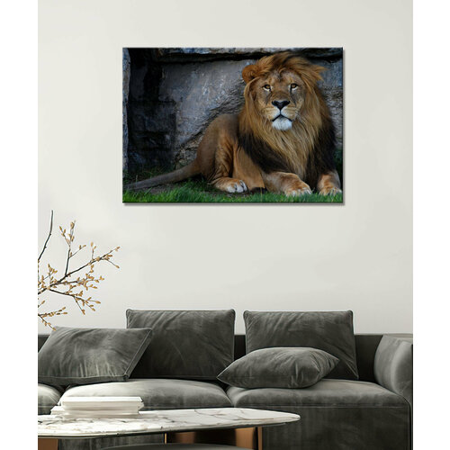 Картина - Лев, лев царь зверей, красивый лев, грива льва (38) 30х40