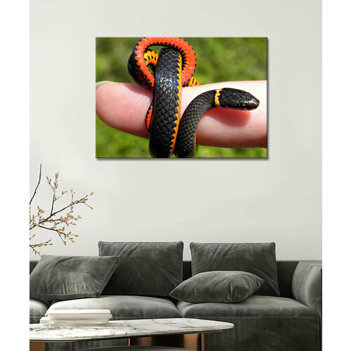 Картина - змея, маленькая змея, тонкая змея, тёмная змея, змея вокруг пальца (88) 20х30