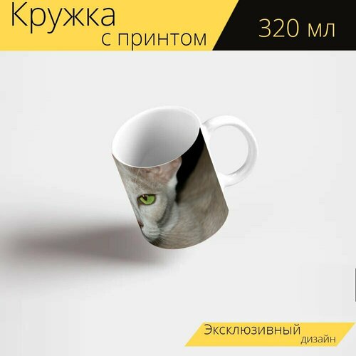 Кружка с рисунком, принтом "Кот, зеленые глаза, ориентальная короткошерстная кошка" 320 мл.
