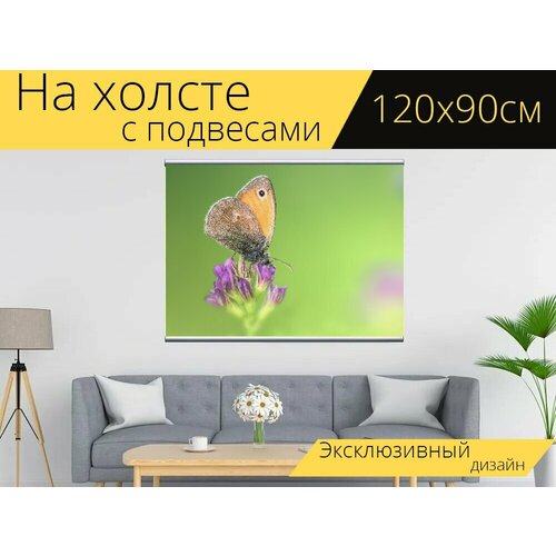 Картина на холсте "Бабочка, маленькой луговой пташки, макрос" с подвесами 120х90 см. для интерьера