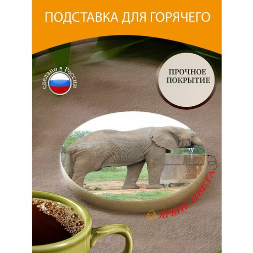 Подставка под горячее "Слон, когда, напиток" 10 см. из блого мрамора