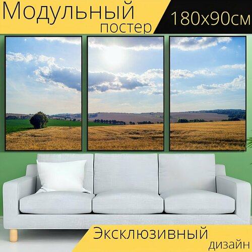 Модульный постер "Поле, кукуруза, трава" 180 x 90 см. для интерьера