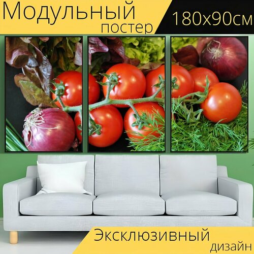 Модульный постер "Салат, помидоры, лук" 180 x 90 см. для интерьера