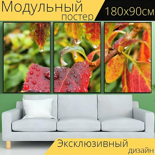 Модульный постер "Осень, разноцветные листья в дождь, капли воды" 180 x 90 см. для интерьера