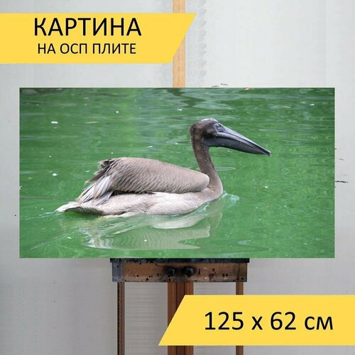Картина на ОСП 125х62 см. "Пеликан, птица, озеро" горизонтальная, для интерьера, с креплениями