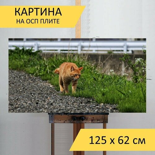 Картина на ОСП 125х62 см. "Животное, кошка, прогулка" горизонтальная, для интерьера, с креплениями