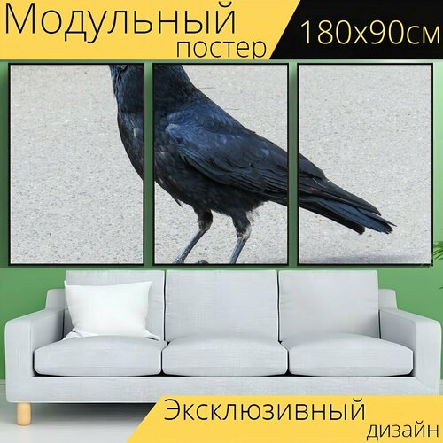 Модульный постер "Животные, птица, ворона" 180 x 90 см. для интерьера