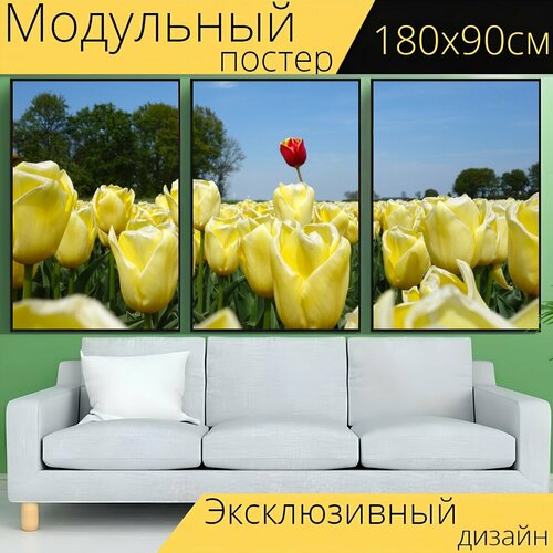 Модульный постер "Тюльпаны, луковицы, луковицы цветов" 180 x 90 см. для интерьера