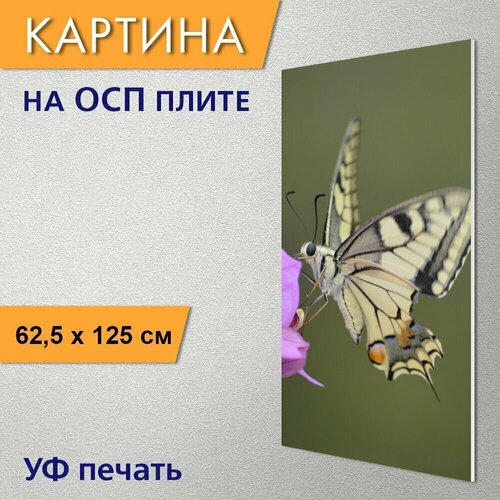 Вертикальная картина на ОСП "Бабочка, насекомое, жук" 62x125 см. для интерьериа