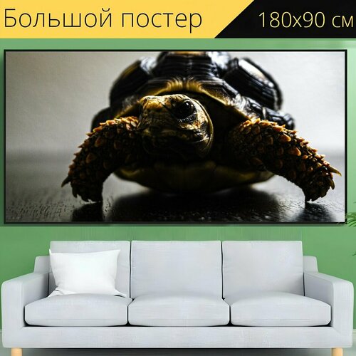 Большой постер "Животное, черепаха, рептилия" 180 x 90 см. для интерьера