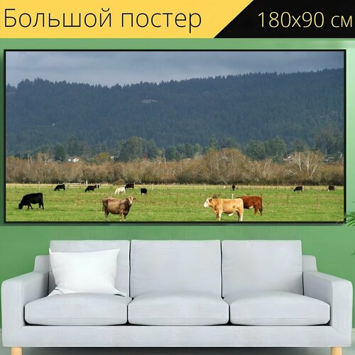 Большой постер "Коровы, крупный рогатый скот, сельское хозяйство" 180 x 90 см. для интерьера