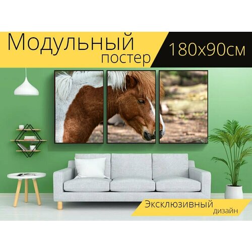 Модульный постер "Лошадь, животное, млекопитающее" 180 x 90 см. для интерьера