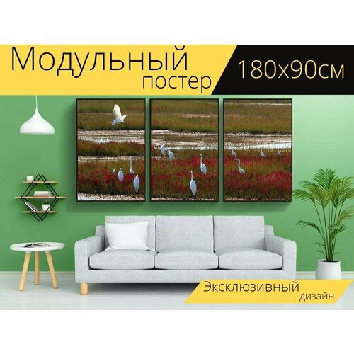 Модульный постер "Большие белые цапли, болото, остров" 180 x 90 см. для интерьера