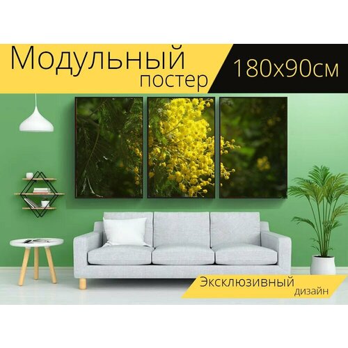 Модульный постер "Мимоза, весна, цвести" 180 x 90 см. для интерьера