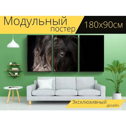 Модульный постер "Собака, шнауцер, животное" 180 x 90 см. для интерьера