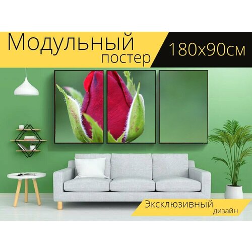 Модульный постер "Красная роза бархат, бутон, зеленые листья" 180 x 90 см. для интерьера