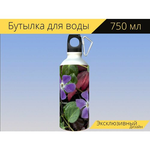 Бутылка фляга для воды "Маленькое вечнозеленое растение, цветок, цвести" 750 мл. с карабином и принтом