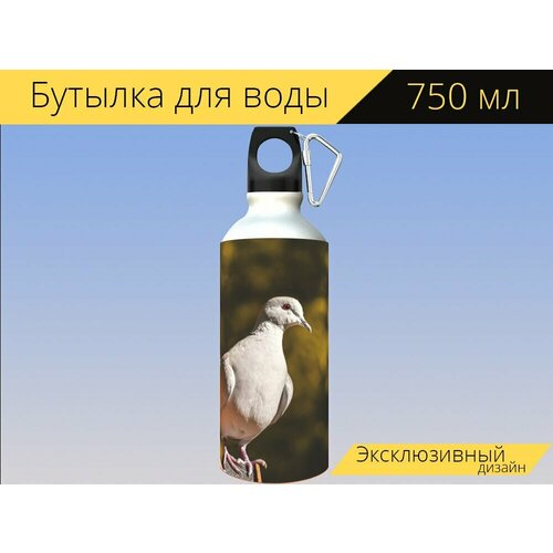 Бутылка фляга для воды "Индюшачий голубь, птица, оперение" 750 мл. с карабином и принтом
