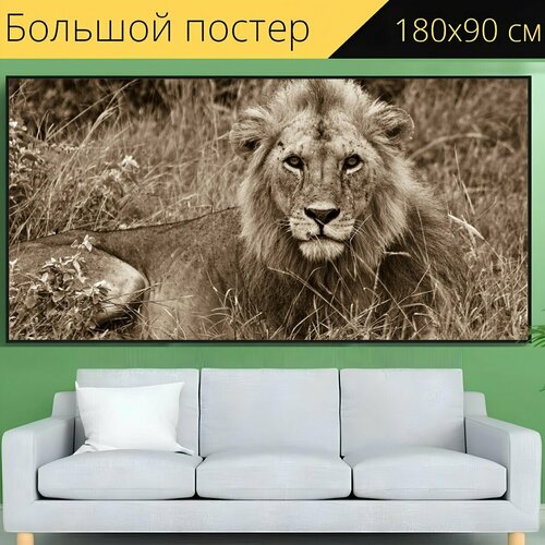 Большой постер "Лев, дикое животное, африке" 180 x 90 см. для интерьера