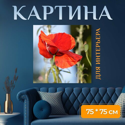 Картина на холсте "Мака, красный, цветок" на подрамнике 75х75 см. для интерьера