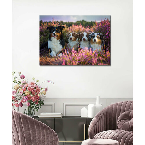 Картина - Австралийская овчарка, аусси, аусси собака, овчарка аусси, аусси шерсть, аусси мордочка, милые аусси в цветах (50) 40х60