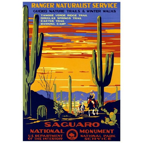 Плакат, постер на холсте National park-Saguaro/Национальный парк-Сагуаро. Размер 60 на 84 см