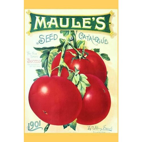 Плакат, постер на бумаге иностранный Tomatoes Seed Catalog Cover. Размер 42 х 60 см