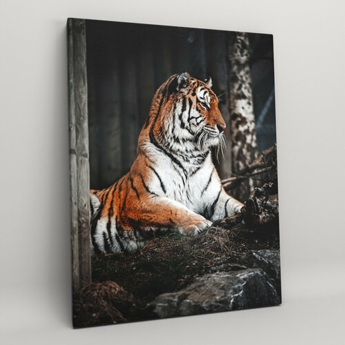 Картина на холсте (интерьерный постер) "Тигр 3" животные, с деревянным подрамником, размер 45х60 см