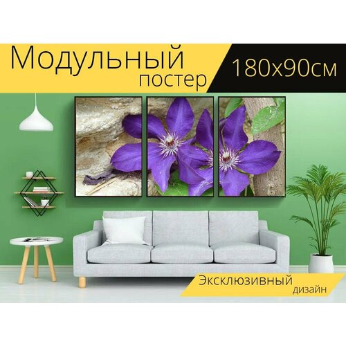 Модульный постер "Цветок, фиолетовый, каменная стена" 180 x 90 см. для интерьера