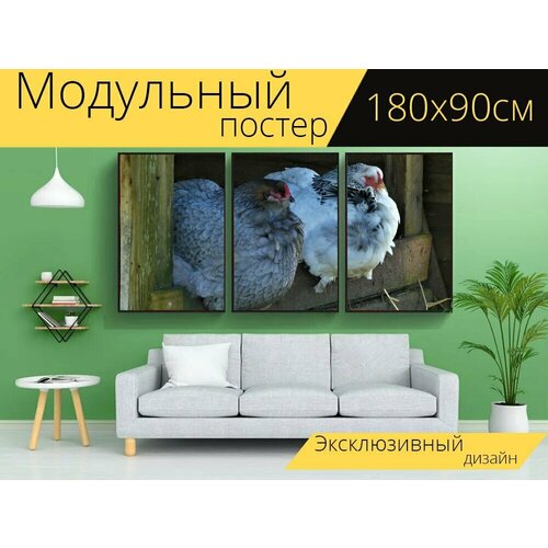 Модульный постер "Куры, курятник, домашняя птица" 180 x 90 см. для интерьера
