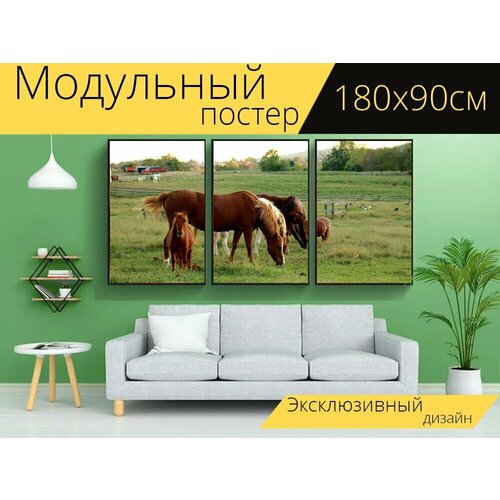 Модульный постер "Дикие лошади, лошади, лошадь" 180 x 90 см. для интерьера