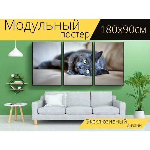 Модульный постер "Кот, кошка, питомец" 180 x 90 см. для интерьера