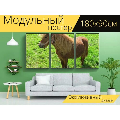 Модульный постер "Пони, домашние питомцы, ферма" 180 x 90 см. для интерьера