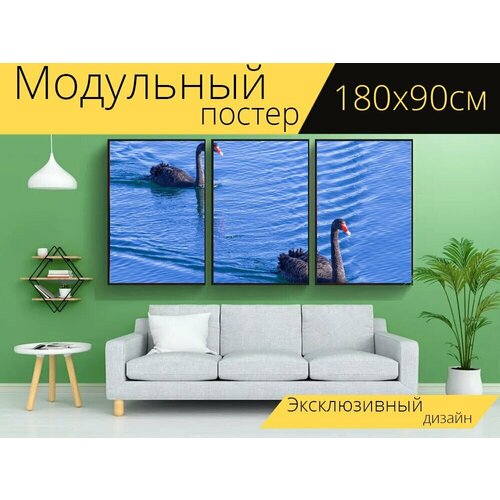 Модульный постер "Лебеди, лебедь, синий" 180 x 90 см. для интерьера