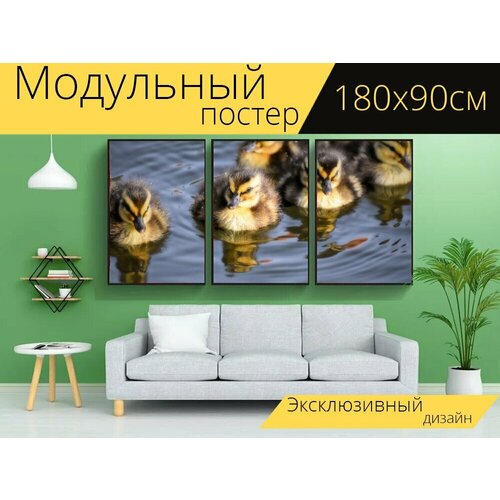 Модульный постер "Кряква, утята, утка" 180 x 90 см. для интерьера