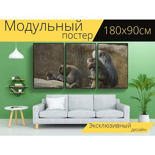 Модульный постер "Обезьяна, бабуин, животное" 180 x 90 см. для интерьера