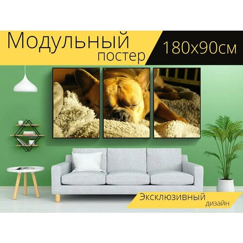 Модульный постер "Французский бульдог, собака, спящий" 180 x 90 см. для интерьера