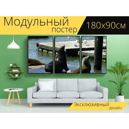 Модульный постер "Уплотнения, карлик рыбака, санфранциско" 180 x 90 см. для интерьера