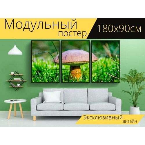 Модульный постер "Боровикборовик, каштан, гриб" 180 x 90 см. для интерьера