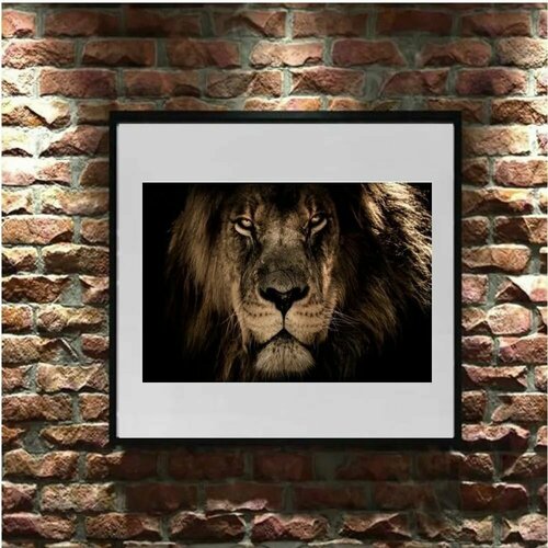 Постер "Морда льва на темном фоне" Cool Eshe из коллекции "Природа", плакат А4