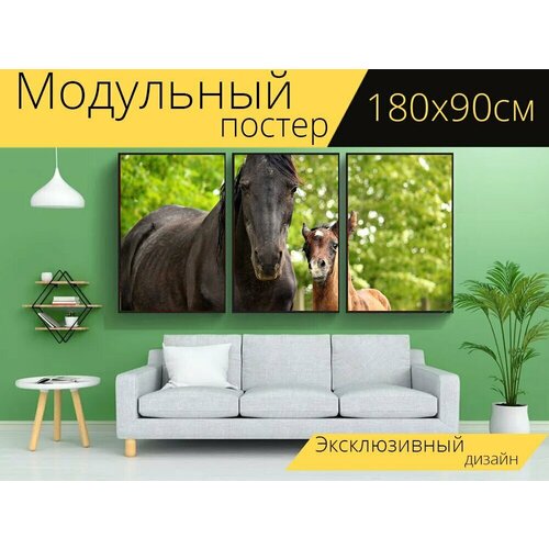 Модульный постер "Лошадь, жеребенок, кобыла" 180 x 90 см. для интерьера