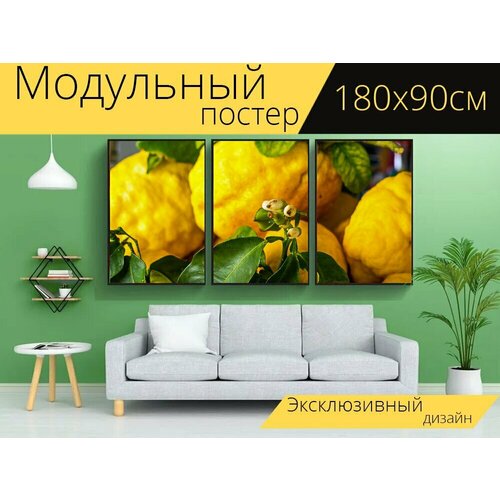Модульный постер "Цвести, лимоны, еда" 180 x 90 см. для интерьера