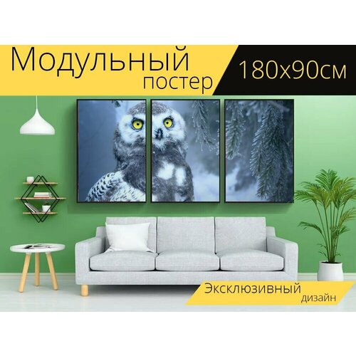 Модульный постер "Сова, снег, снежная сова" 180 x 90 см. для интерьера