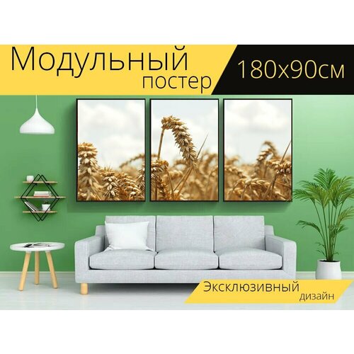 Модульный постер "Пшеничный колос, пшеница, шип" 180 x 90 см. для интерьера
